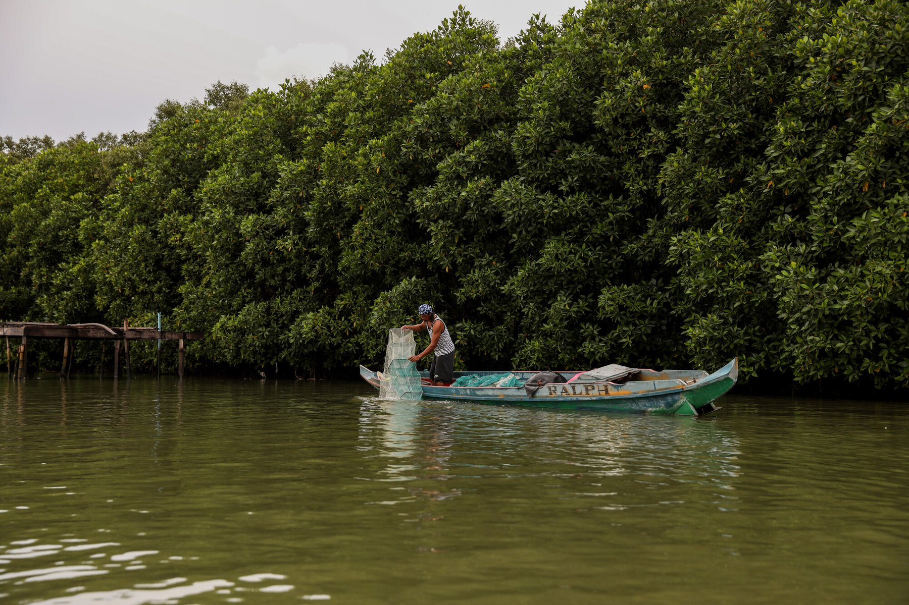 COP16: Aligning biodiversity with human rights and climate action ...
