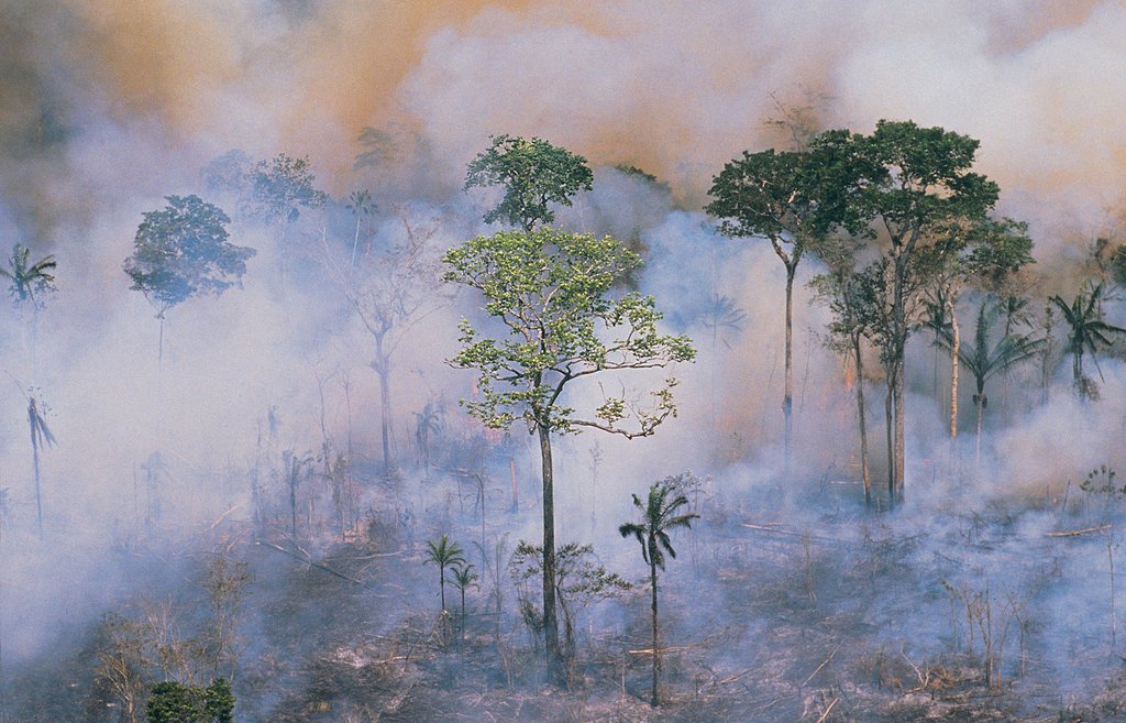 From forests to fossil fuels, we’re following the money behind the ...