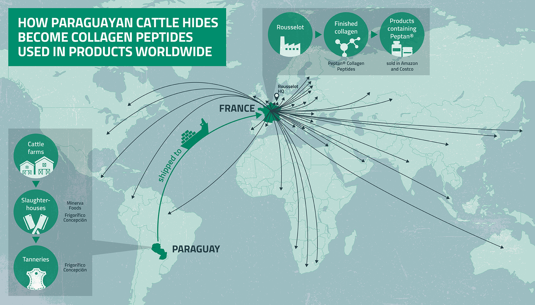 Popular collagen brands drive deforestation in Paraguay | Global Witness