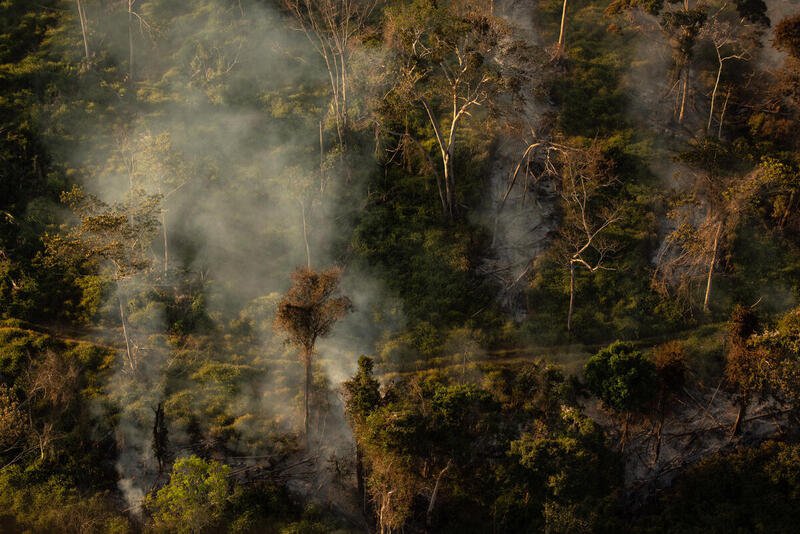 The Cerrado crisis: Brazil’s deforestation frontline | Global Witness