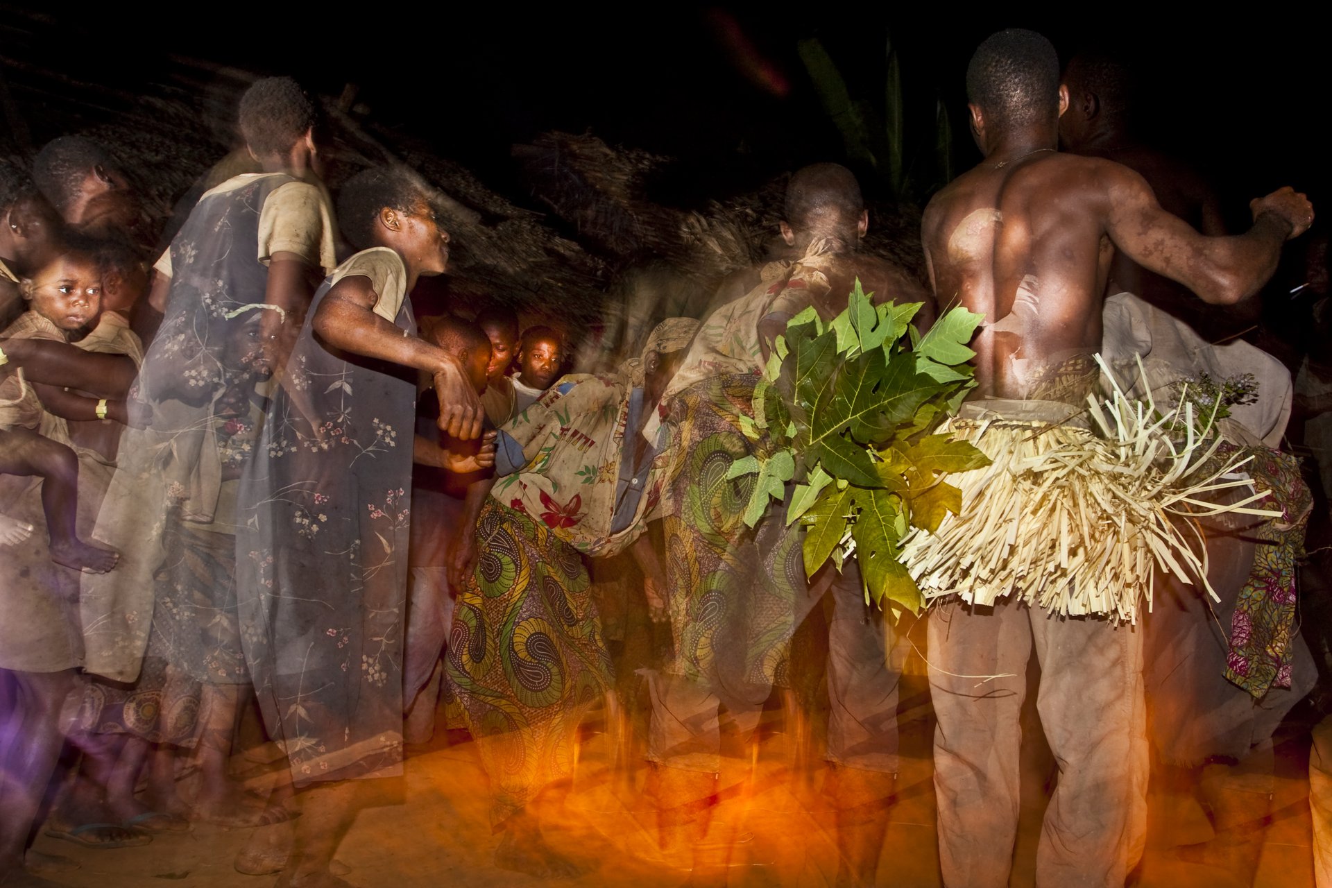 European rubber imports are driving the destruction of African forests ...