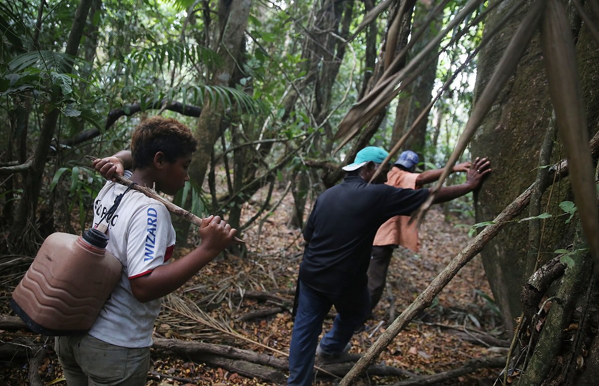 Fundo Casa: Highlighting the importance of Afro-Brazilian Quilombola ...