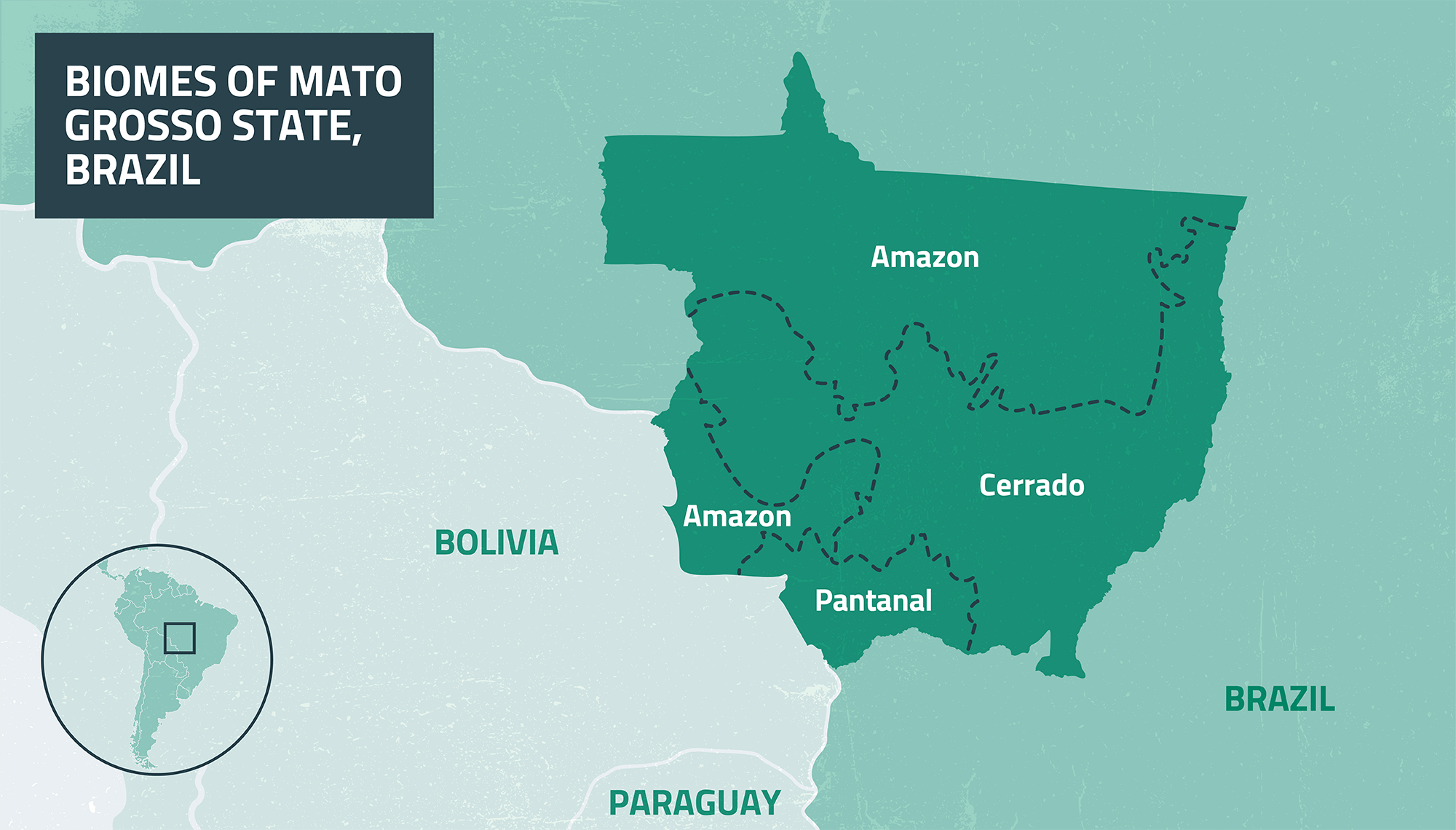 The Cerrado crisis: Brazil’s deforestation frontline | Global Witness