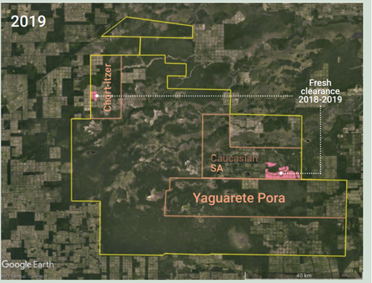 Santander and BlackRock continue to turn a blind eye to deforestation ...