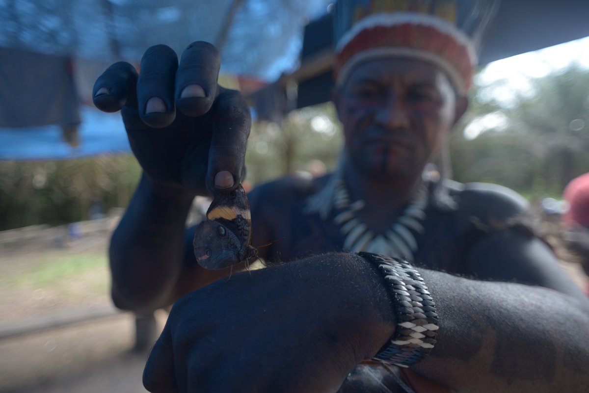 Violence, torture and threats continue, allege land and environmental ...