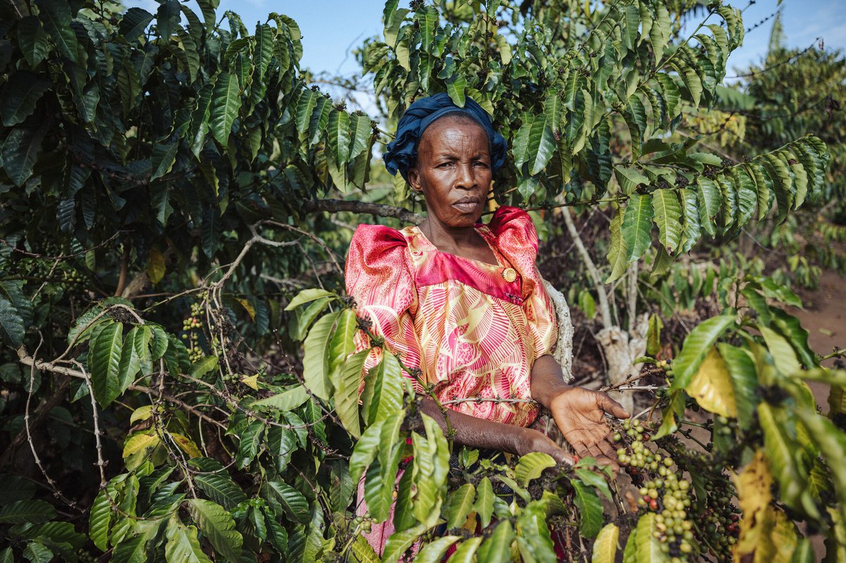 30 years of Global Witness | Global Witness