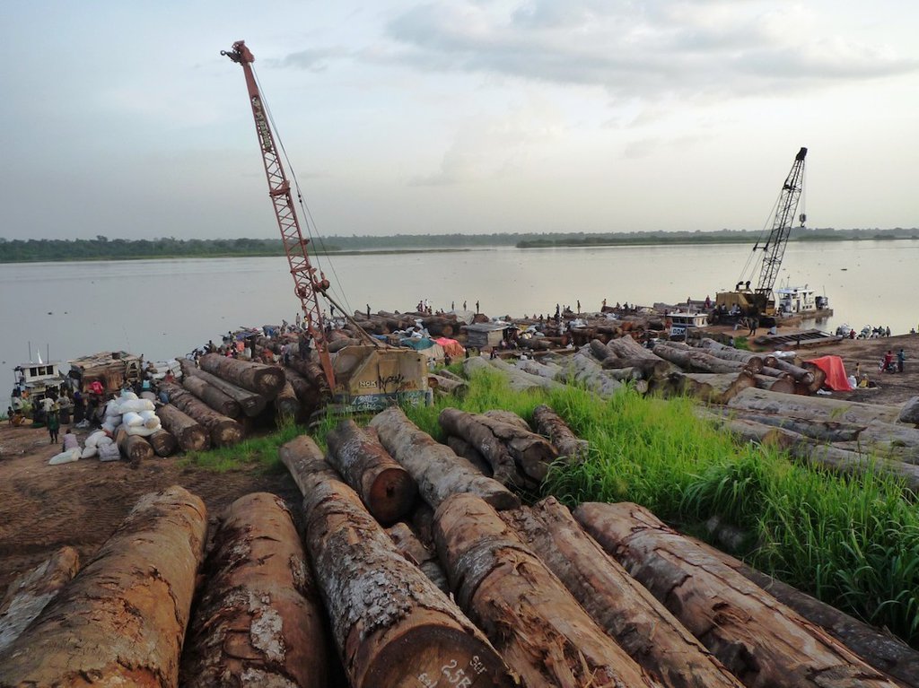 New analysis shows a worrying surge in exports of tropical timber to ...