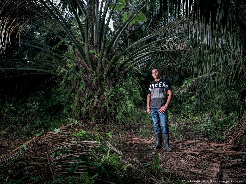 Short environmental films to watch on the go | Global Witness