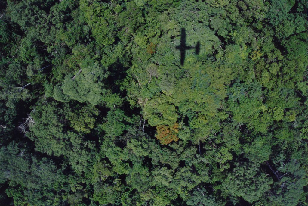 Board of Directors | Global Witness