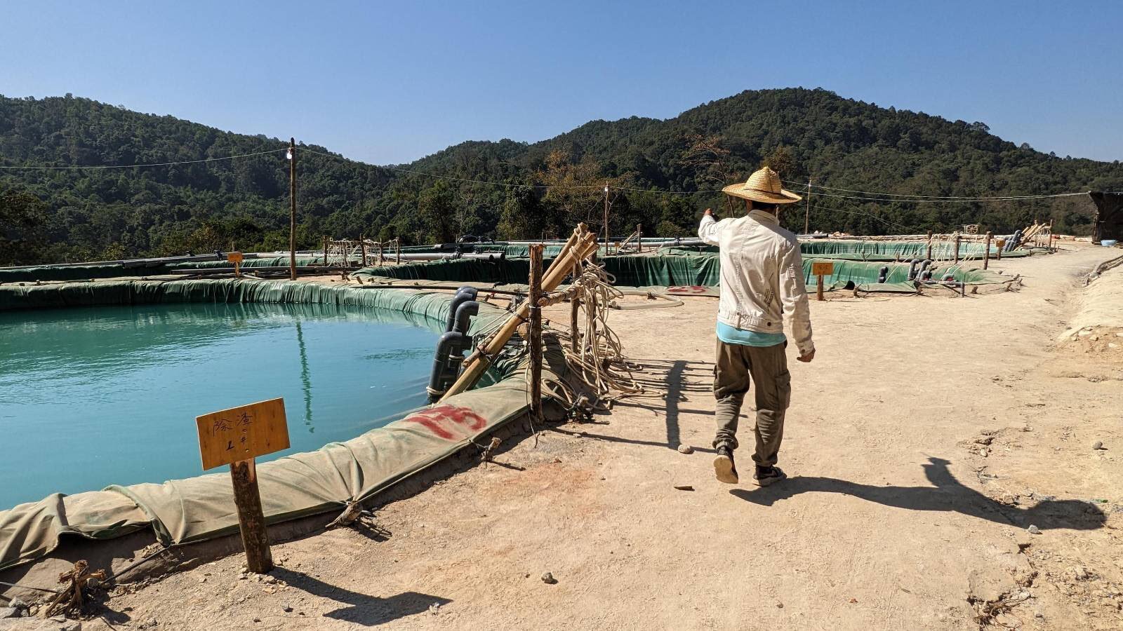 Fuelling the future, poisoning the present: Myanmar’s rare earth boom ...