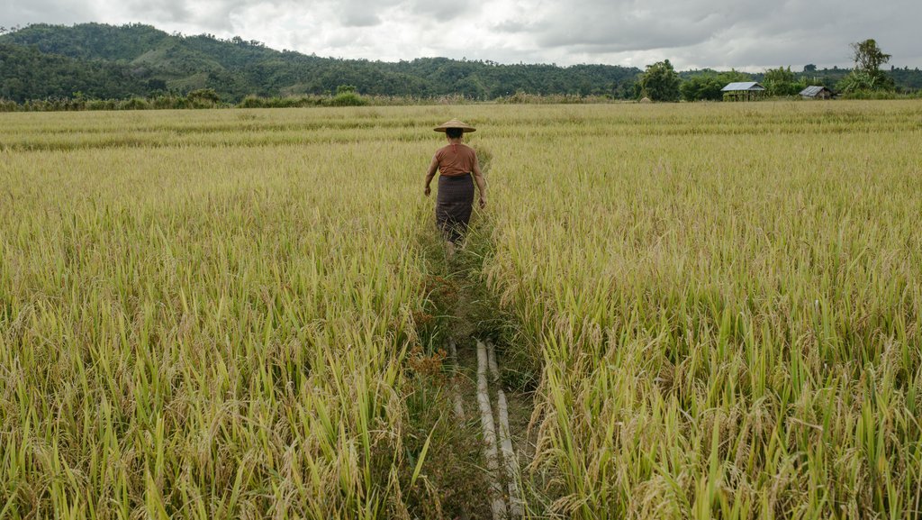 What’s in a number? Why the struggle to quantify the global land ...