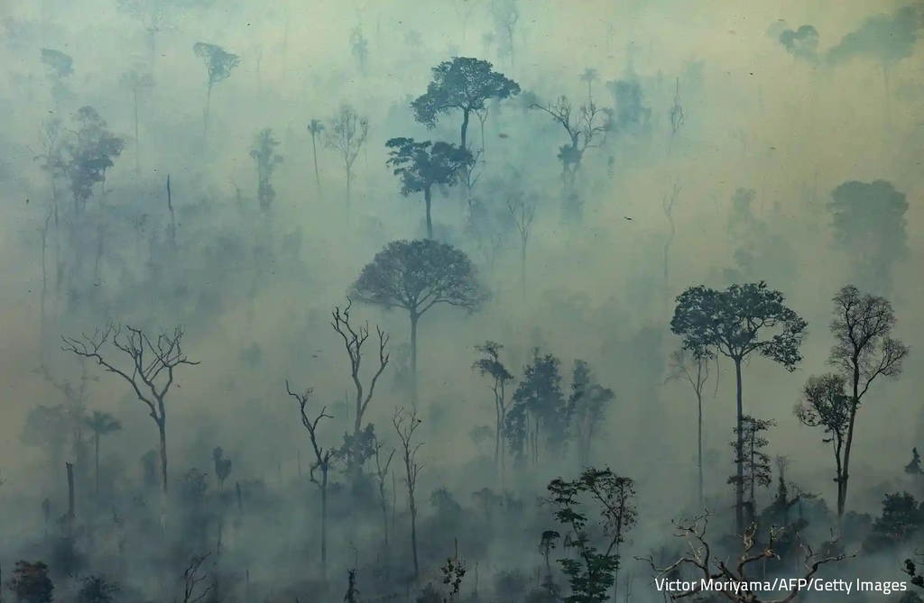 The Amazon fires have been a wakeup call - but what needs to happen ...