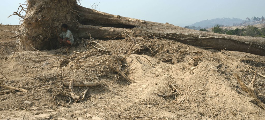 Rubber Barons | Global Witness